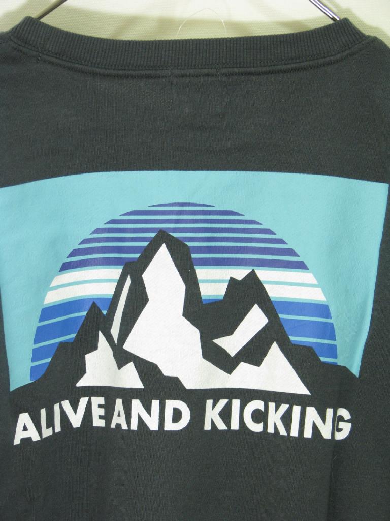 DRC トレーナー 150cm イエローパンダ｜DRCの子供服の古着通販 - ミラクルボックス